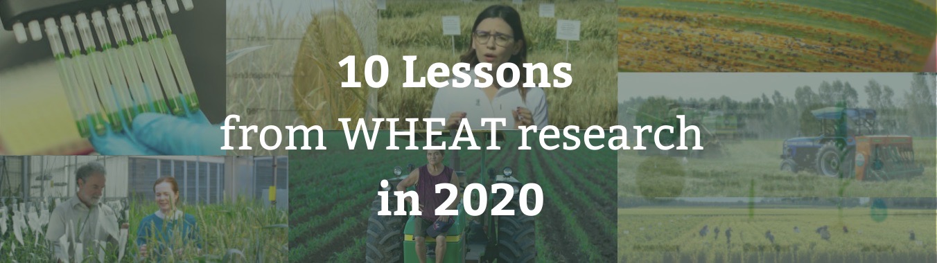 WHEAT – CGIAR Research Program on WHEAT