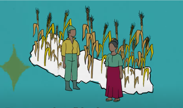 CGIAR Research Program on WHEAT - Wheat